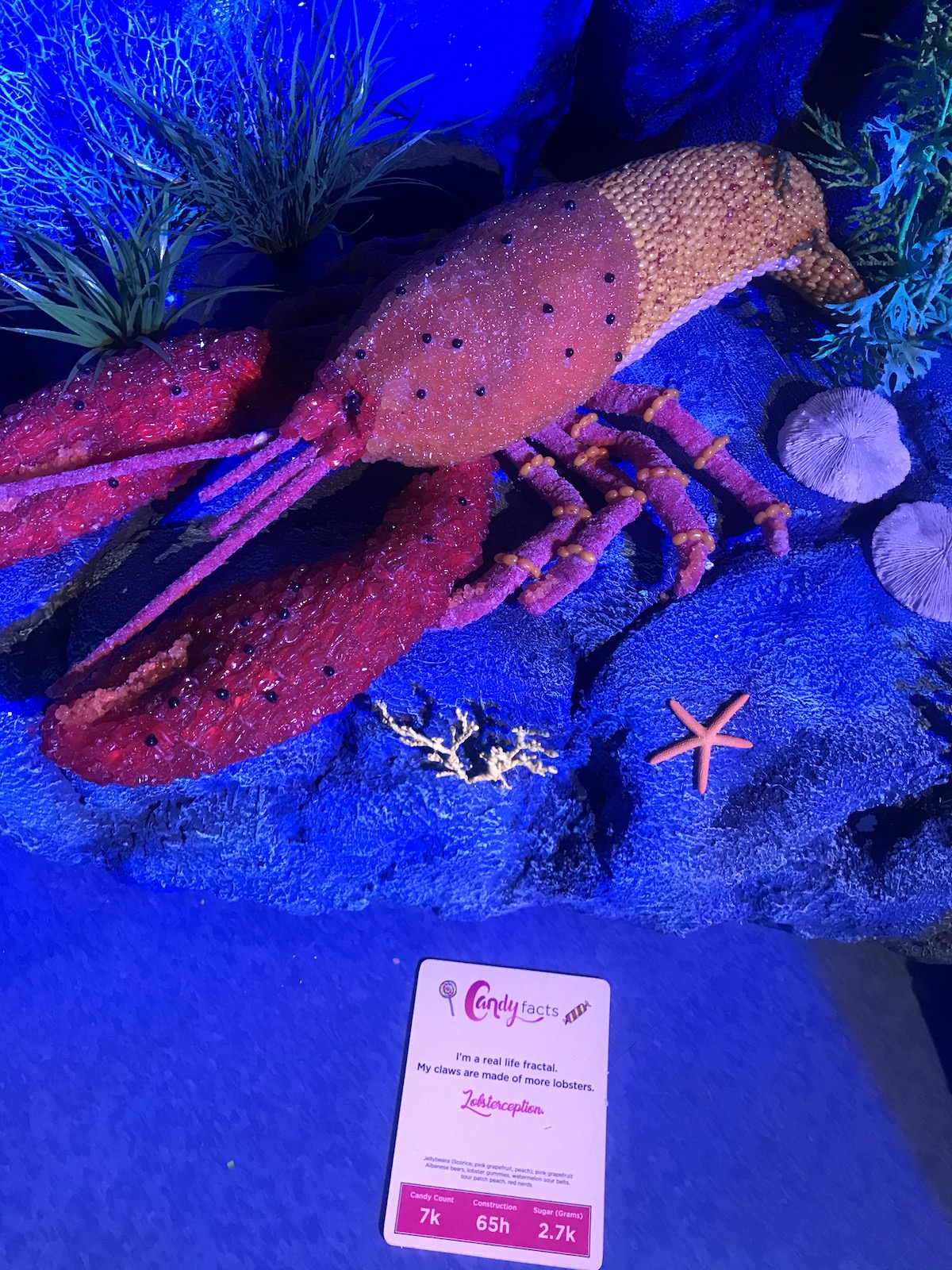 CANDYTOPIA: Miami’s Newest Candy Wonderland – Gen Z Moms